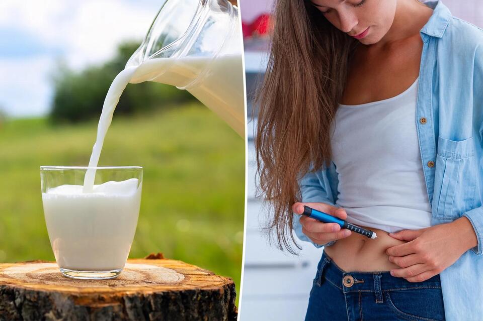 Diabetes breakthrough: Cow produces human insulin in world first ...