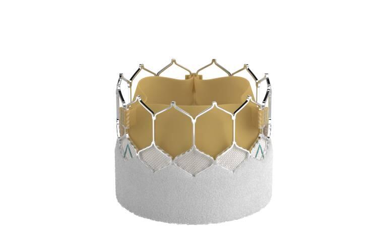 Edwards announces new heart valve health initiative with David ...