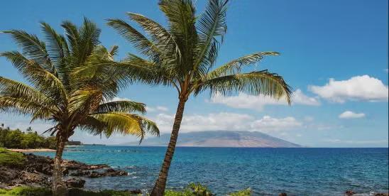 Hawaii Governor Signs First-of-Its-Kind Legislation to Circumvent ...