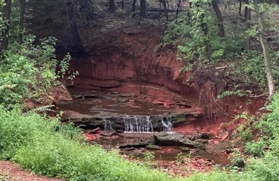 Student asks if storm makes snake-filled pond safe to explore: 'Can I ...