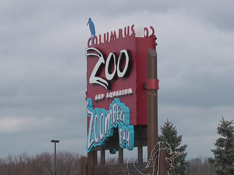 Hyundai stolen from Columbus Zoo parking lot; witness reported 4 masked ...