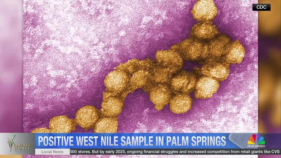 Palm Springs Mosquito Tests Positive for West Nile Virus - NewsBreak