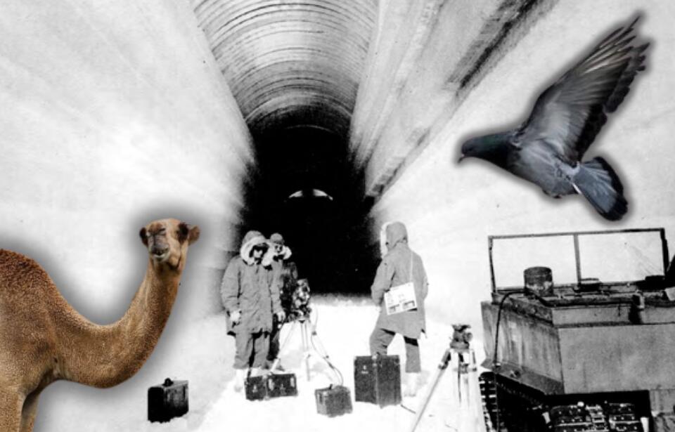 These unusual US military experiments prove nothing is too far-fetched ...
