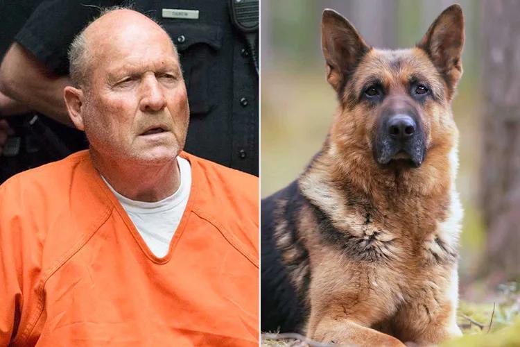 Before He Became the Golden State Killer, Joseph DeAngelo Blew Up a Dog ...