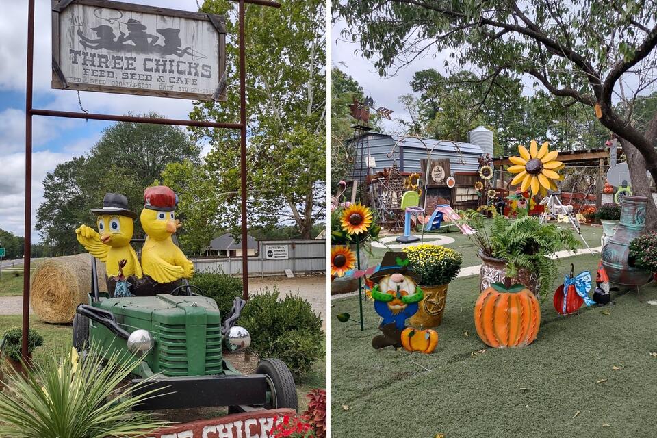 Fall Fun Alert: Three Chicks Fall Festival Brings Food + Local Goodies ...