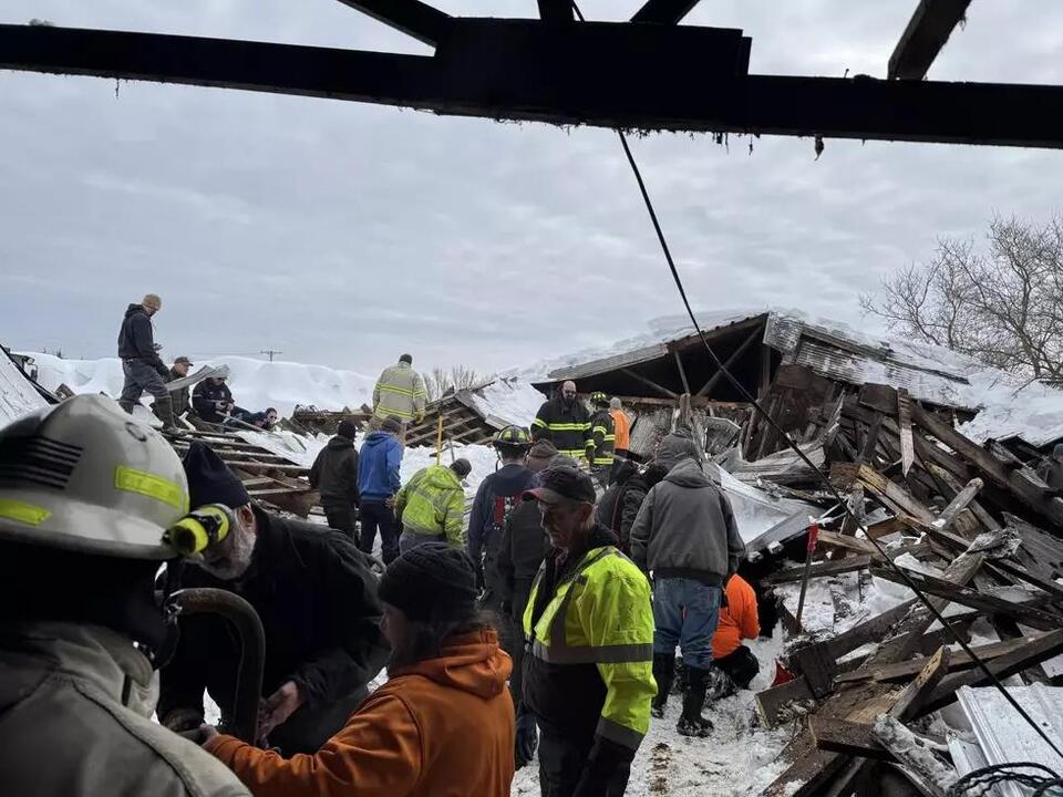 First Responders, Friends, and Farmers Unite to Rescue 100 Cows After ...