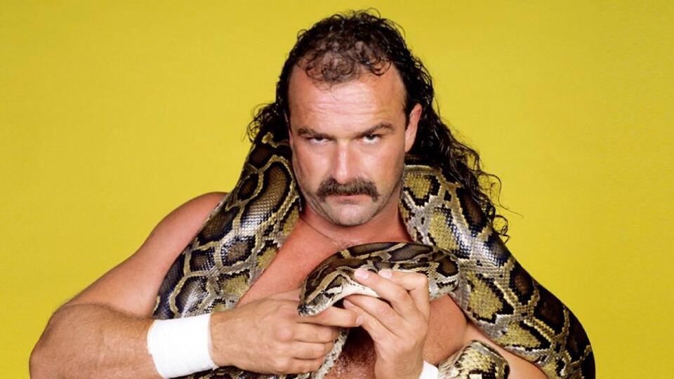 Jake Roberts’ Snake Once Got Loose In A Strip Club And Bit A Dancer’s ...