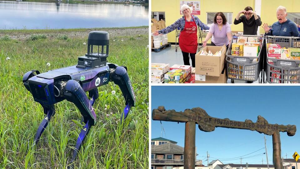 AROUND ALASKA: Robot Dog, Food Donation, and Iditarod Nation - NewsBreak