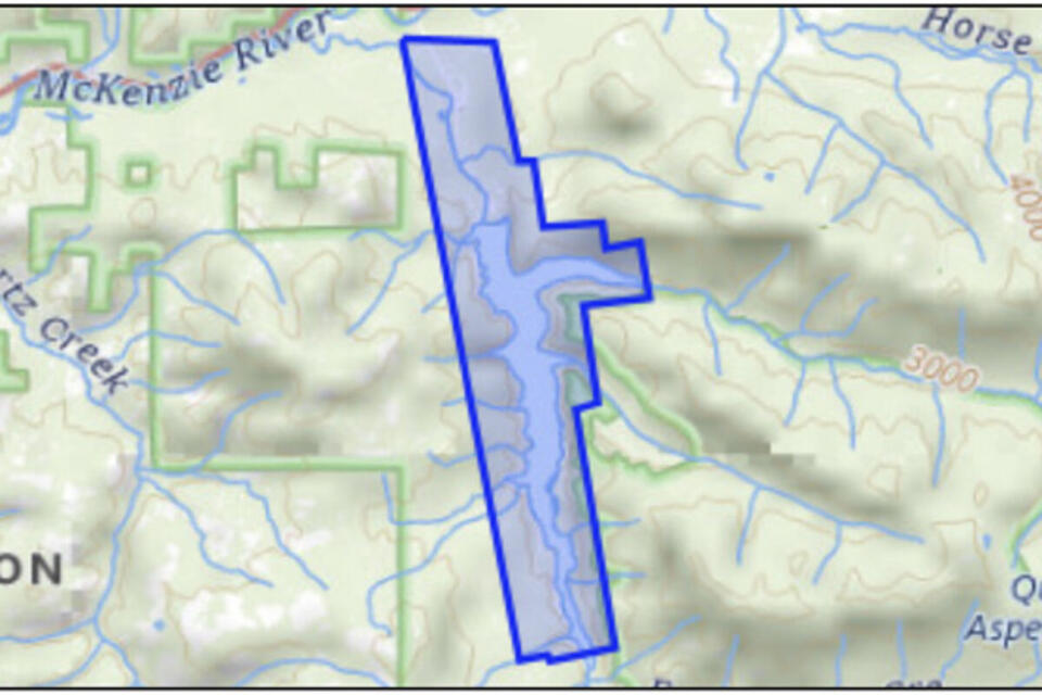 New Review Has Implications for Blue River and Cougar Dams - NewsBreak