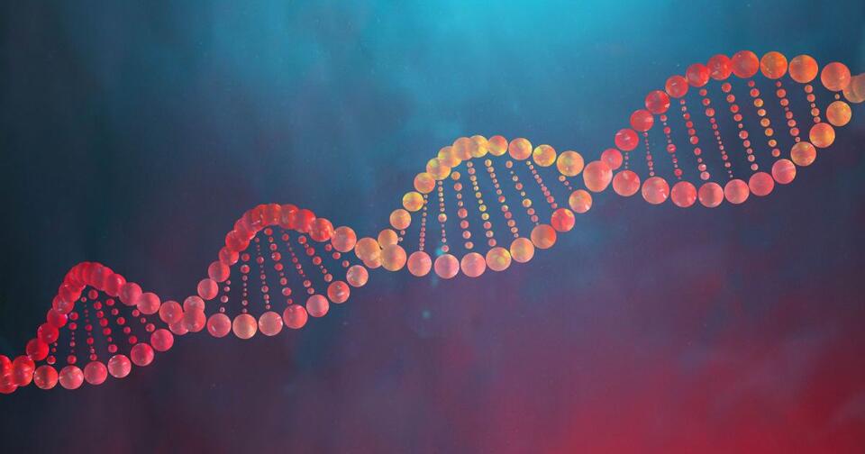 Scientists map human genome in 4D—revealing how DNA interacts - NewsBreak
