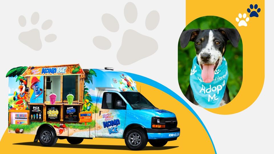San Bernardino County Animal Care hosting adoption event for California ...