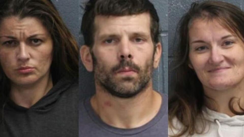 Four arrested in Pender Co. after stolen license plate investigation ...