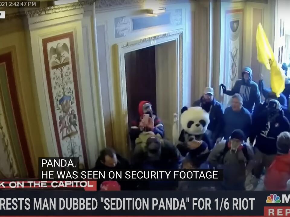 ‘Sedition Panda’ Convicted of Assaulting Police Officer During Capitol Riot