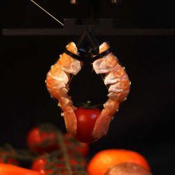 Bio-Hybrid Robots Made Of Dead Lobsters Are The Latest Breakthrough In ...