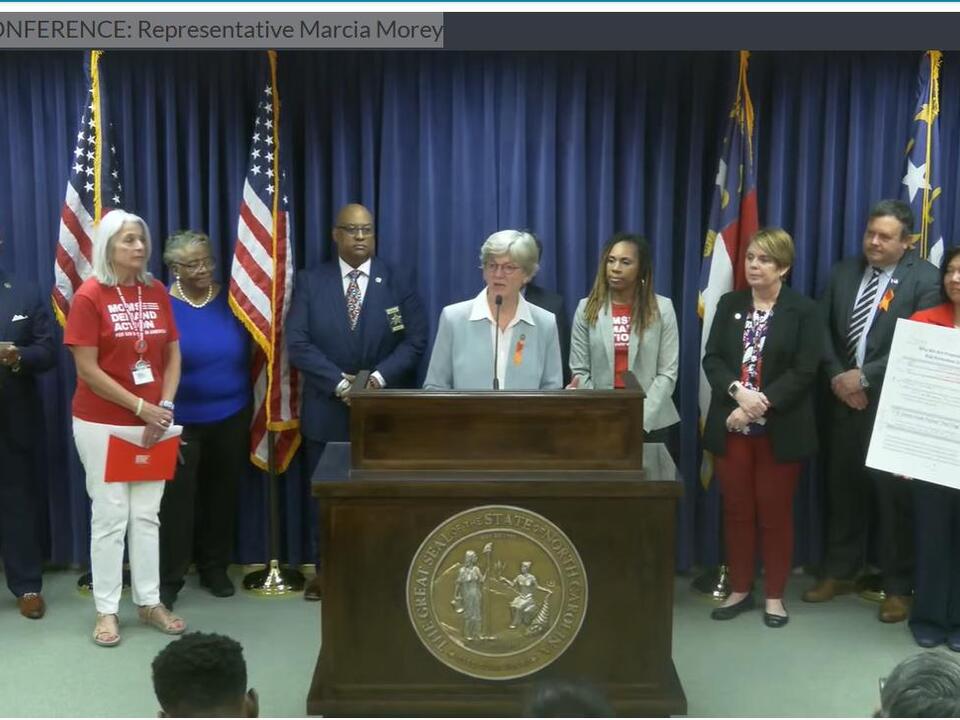 NC lawmakers receive competing firearm regulation messages
