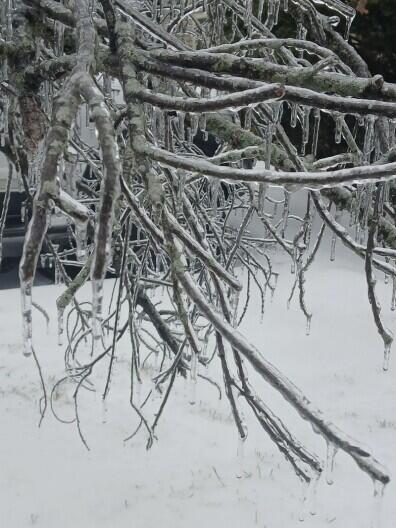 Ice accumulations create hazardous road conditions and increasing power ...