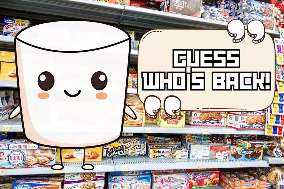 The Nostalgia! After Almost a Decade, Little Debbie Bringing Back Fan ...