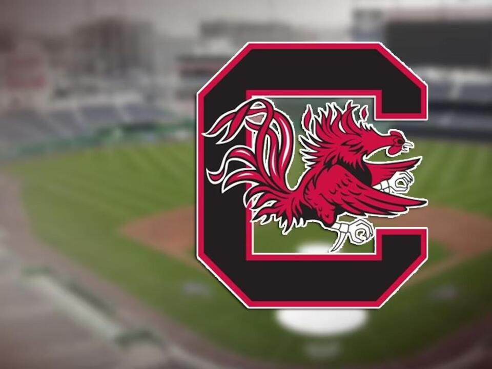 Gamecocks Earn One-Run Win over North Carolina