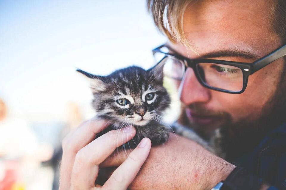 How to Support a Grieving Cat After a Loss - NewsBreak