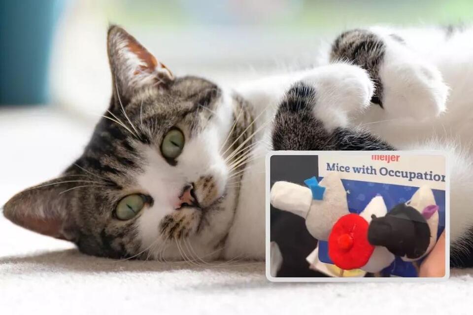 Meijer’s Adorable Mice (With Occupations) Are Taking The Internet By ...