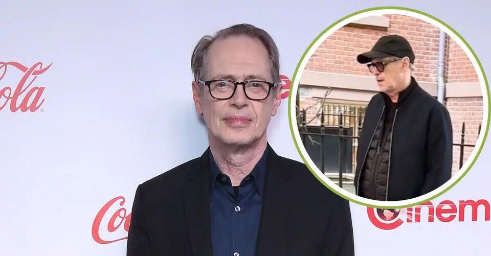 Steve Buscemi Spotted With Black Eye After Suffering Assault In NYC ...