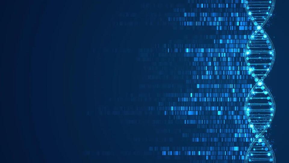 DNA Language Model Comparison Reveals the Pros and Cons of AI for ...