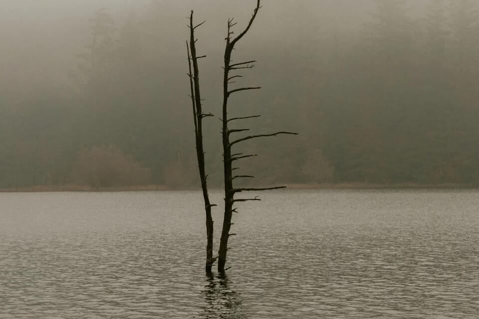 Lost Lake, Oregon’s Uncanny Natural Phenomenon - NewsBreak
