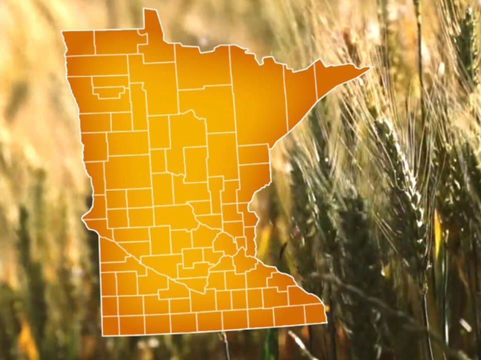 Missing 77-year-old located in Lake County