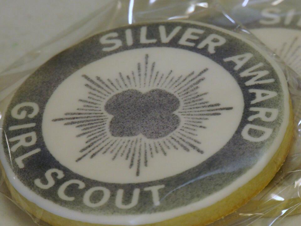 Town of Vestal Girl Scouts Honored with Girl Scouts Silver Award for ...