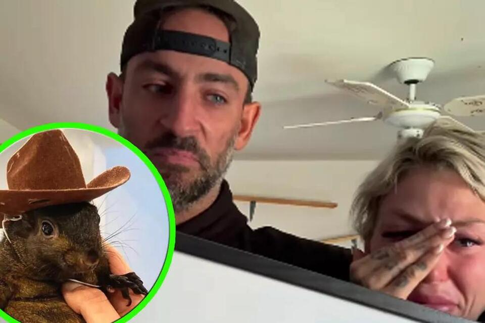 Why Was Peanut the Squirrel Euthanized? - NewsBreak