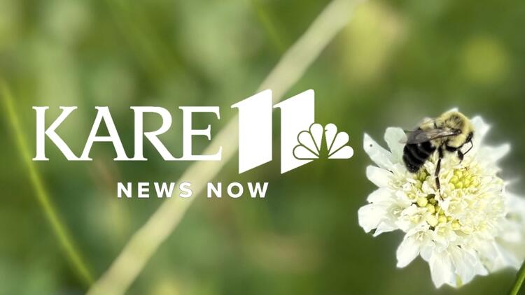 KARE 11 News Now | Morning Edition - Oct. 15 - NewsBreak