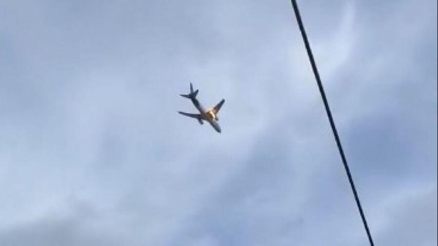 FedEx cargo plane makes emergency landing following bird strike and ...