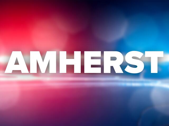 Man and dog rescued from Ellicott Creek - NewsBreak