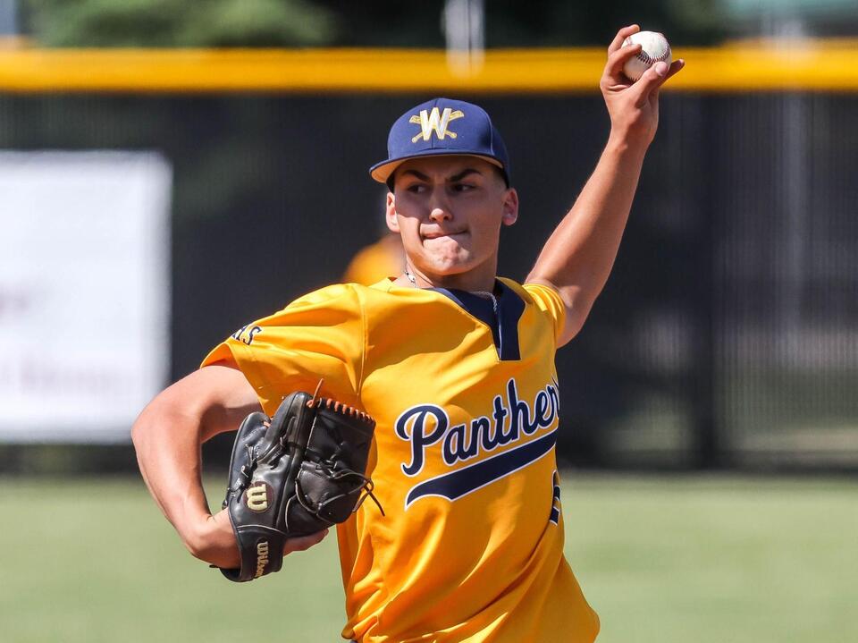 Whitmer, St. Francis advance in D-I district baseball - NewsBreak