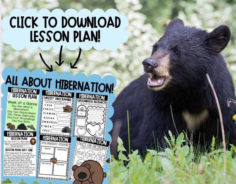 Discover Animals That Hibernate: A 5-Day Unit Plan for Elementary ...