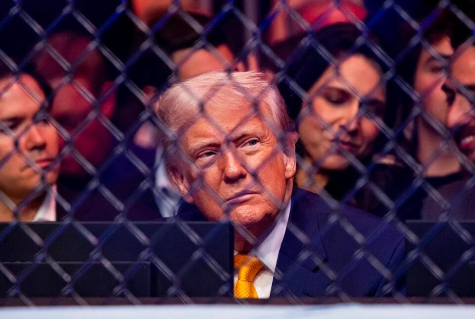 Video: Donald Trump claims UFC White House fight card will feature ...