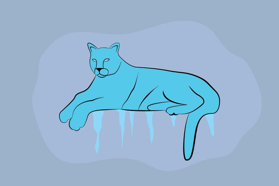 How to prepare for the upcoming freeze - NewsBreak