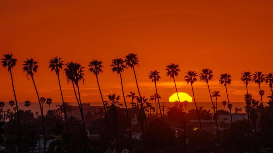 Census: Los Angeles population drops as San Francisco ends decline ...
