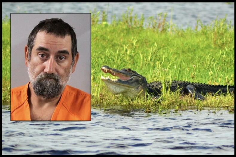 Florida Man Bitten by Alligator 'Continued His Rampage' Before Fatal ...