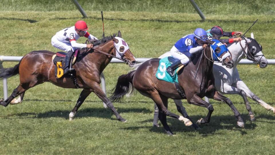 Parx Jockey Paco Lopez Suspended 6 Months Over Whip Violations Newsbreak