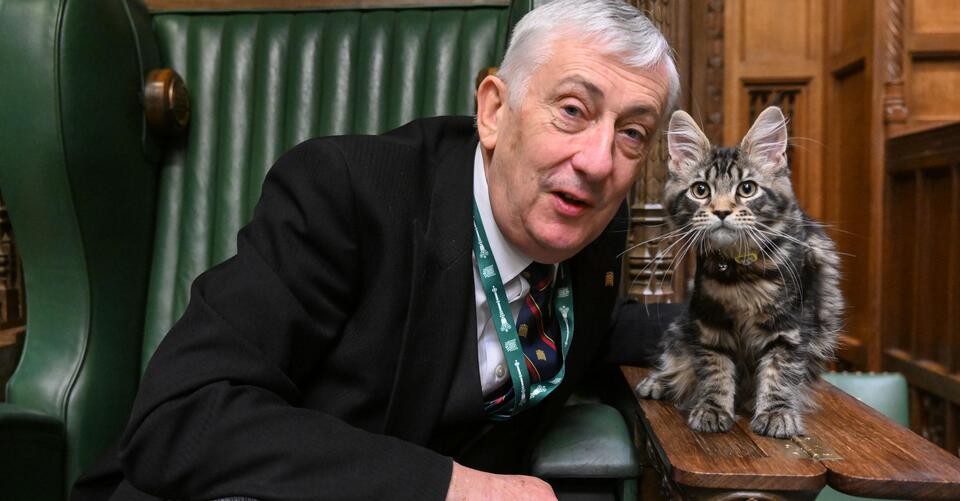 Lindsay Hoyle introduces new Westminster cat named after Clement Attlee ...