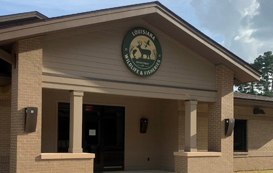 LDWF announces successful conclusion of the state’s first black bear ...