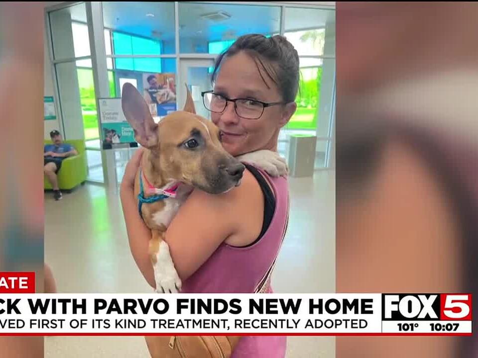 UPDATE: Dog sick with Parvo finds new home