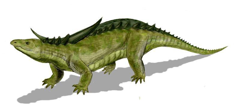 Desmatosuchus: The Armored Archosaur That Ruled Triassic Texas - NewsBreak