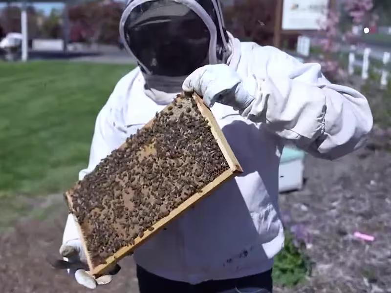 Satiate the travel bug with a trip to Salem sweet spot Flying Bee Ranch