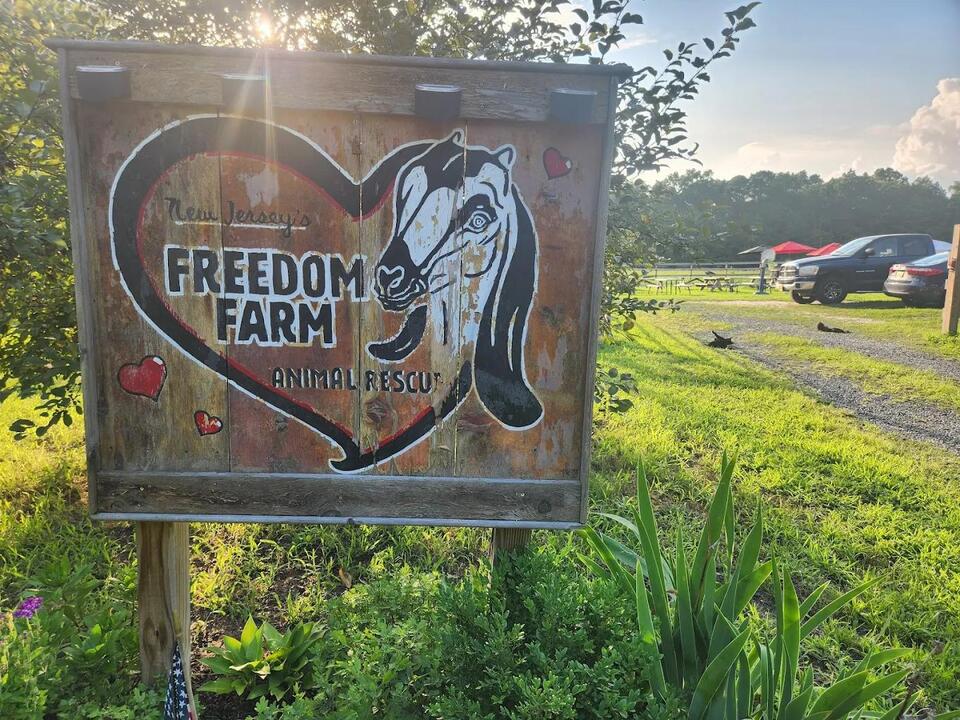 From Ruff to Rescued: Freedom Farm Animal Rescue’s Mission - NewsBreak