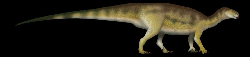 Tenontosaurus: The Unsung Herbivore Found in Oklahoma and Texas - NewsBreak