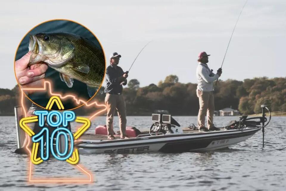 ‘Hammer Smallies On This Sprawling Spread’ In Central Minnesota - NewsBreak
