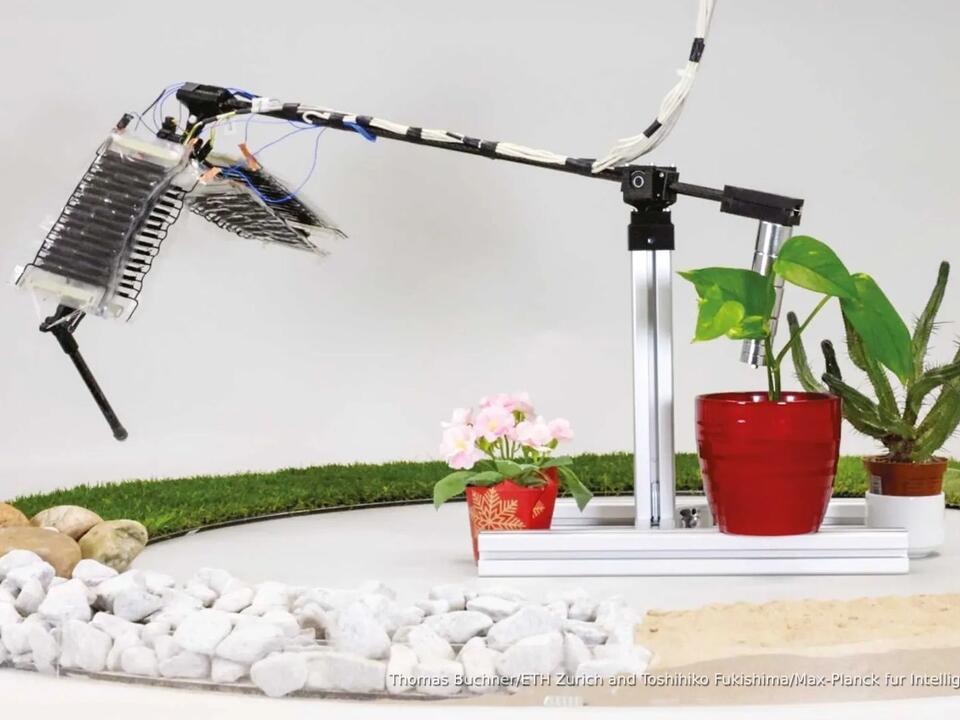 Researchers unveil first robotic leg using ‘artificial muscles’