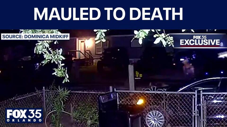 Florida woman mauled to death by escaped dogs: 'I do not feel safe ...